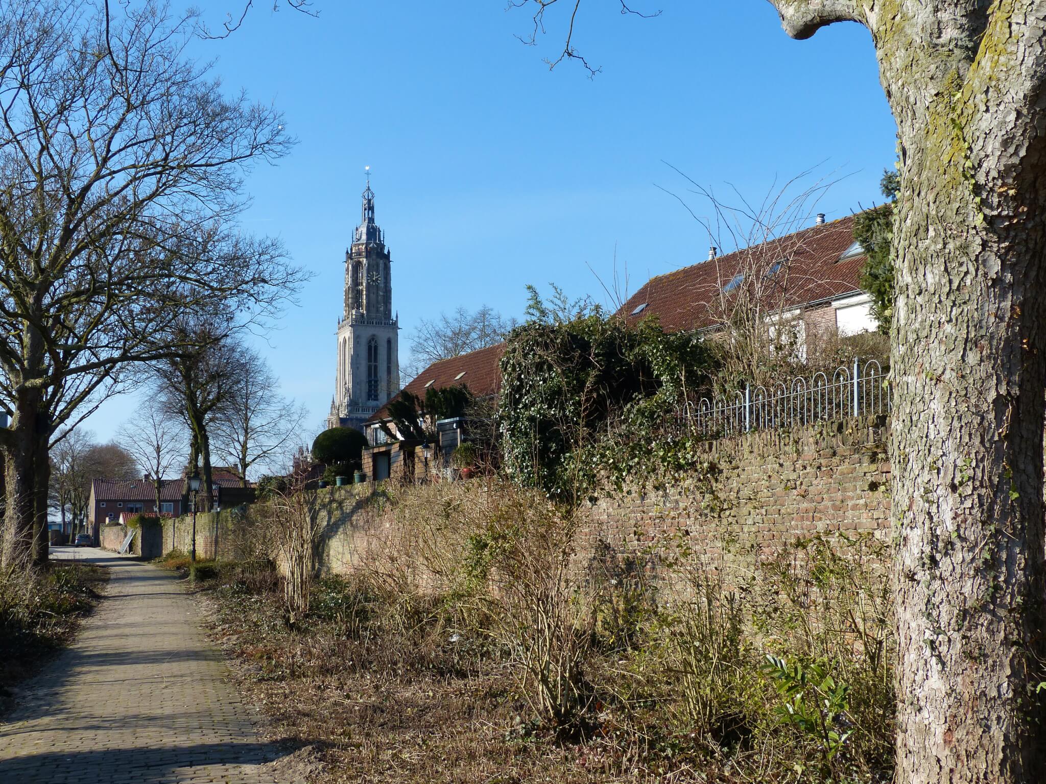 Activiteiten - Rhenen Stad